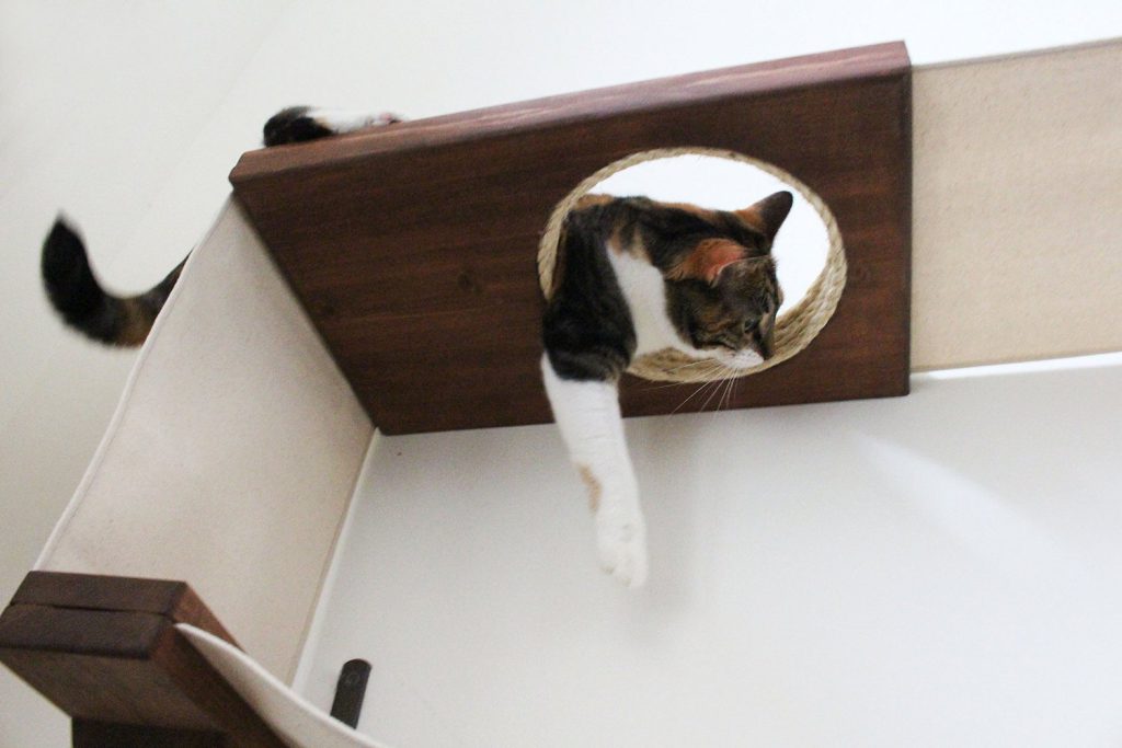 How Much Fun Is The Catastrophicreations Fabric Cat Maze Cool Stuff