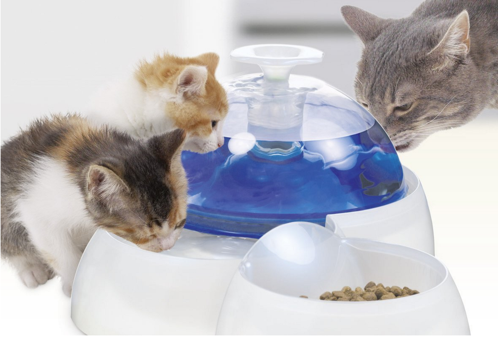 Best Cat Water Fountains - Top Buys - Cool Stuff for Cats